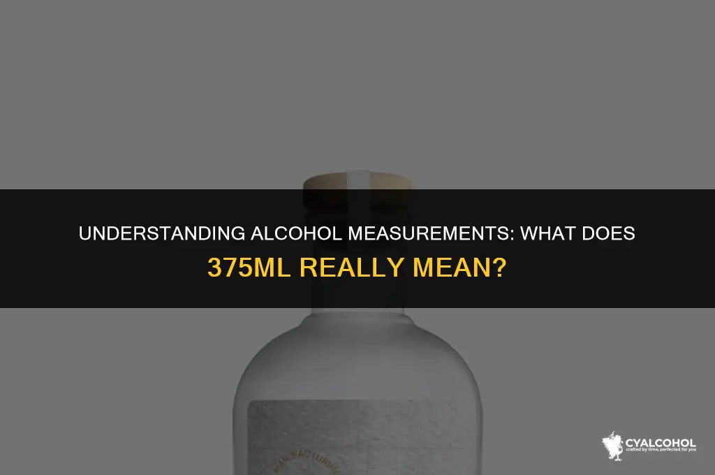 Understanding Alcohol Measurements: What Does 375Ml Really Mean ...