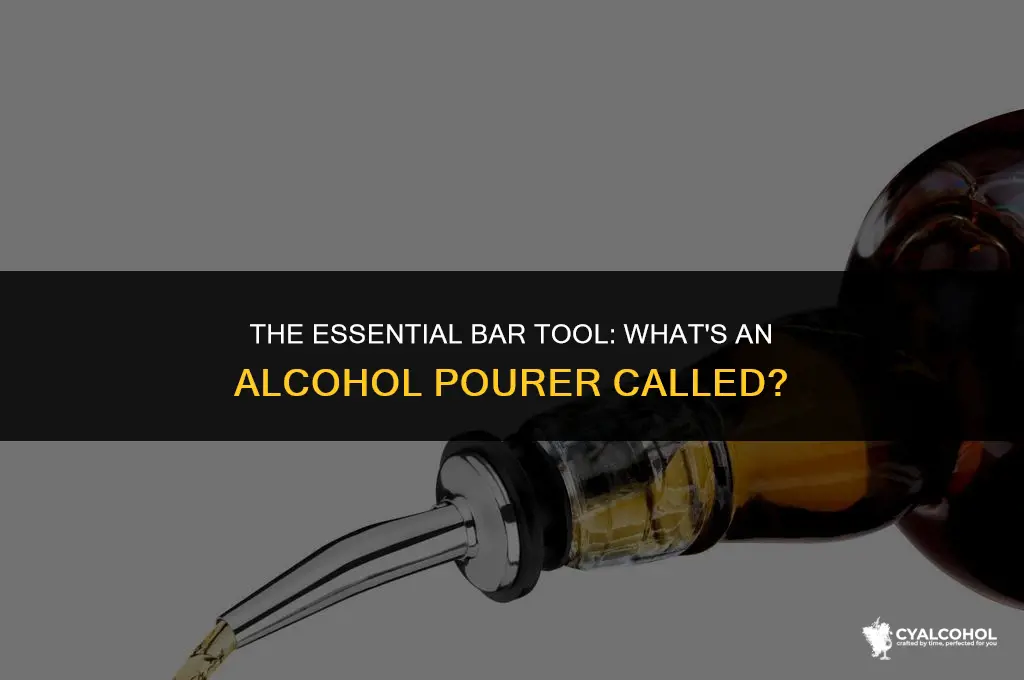 The Essential Bar Tool: What's An Alcohol Pourer Called? | CyAlcohol