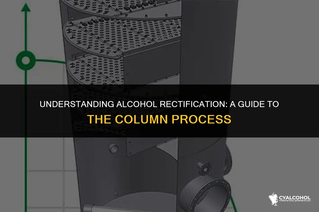 Understanding Alcohol Rectification: A Guide To The Column Process ...