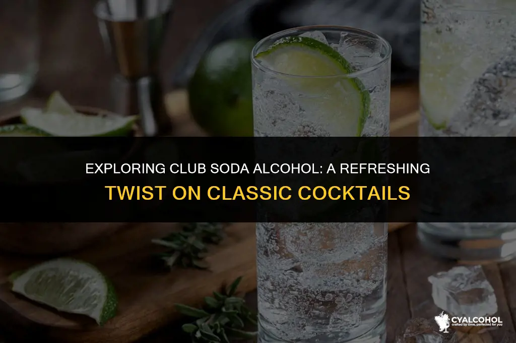 Exploring Club Soda Alcohol: A Refreshing Twist On Classic Cocktails ...