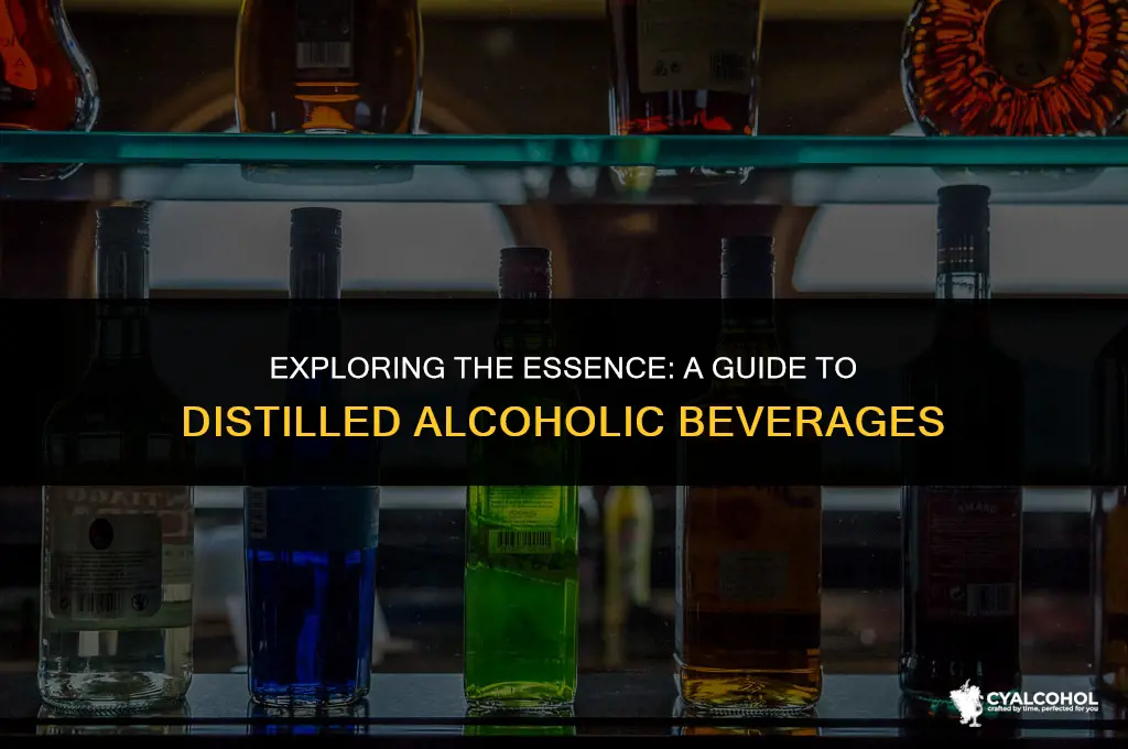Exploring The Essence: A Guide To Distilled Alcoholic Beverages | CyAlcohol
