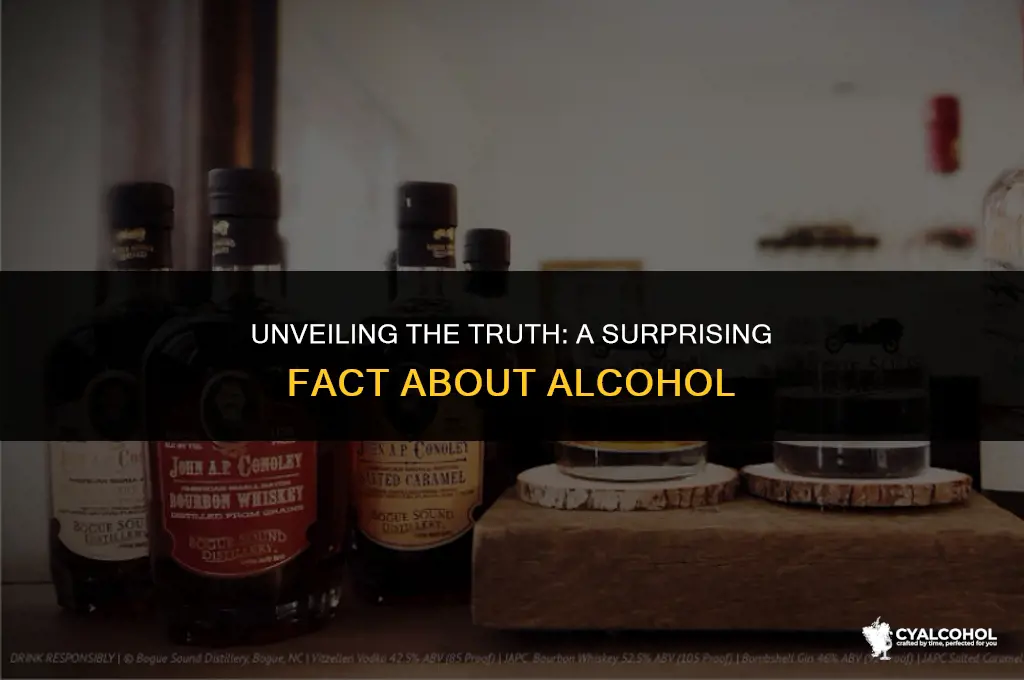 Unveiling The Truth: A Surprising Fact About Alcohol | CyAlcohol