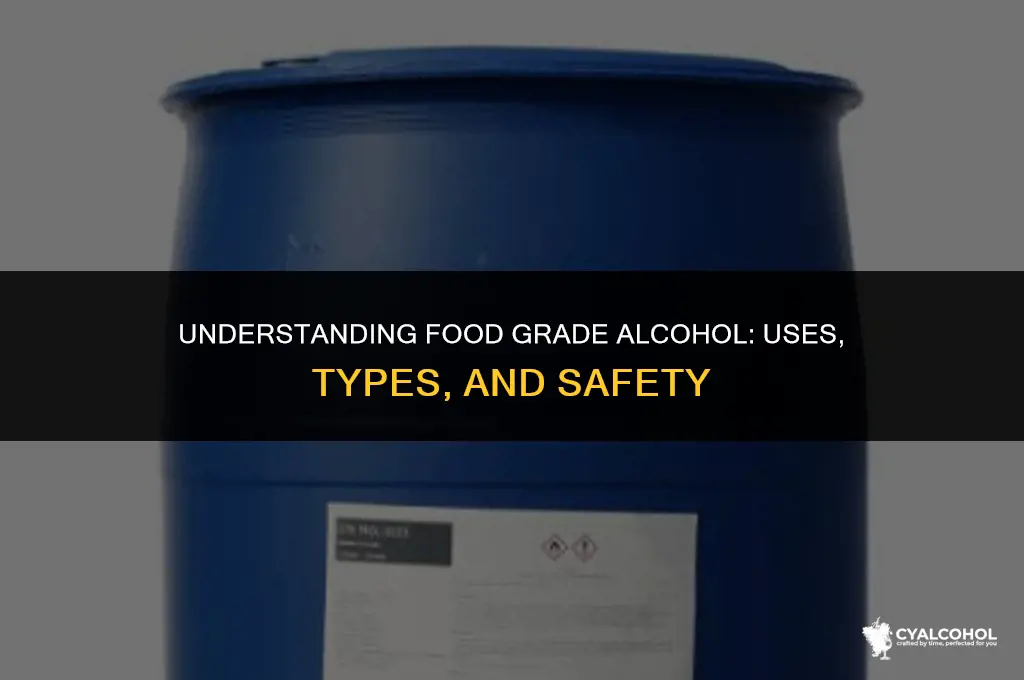 Understanding Food Grade Alcohol: Uses, Types, And Safety | CyAlcohol