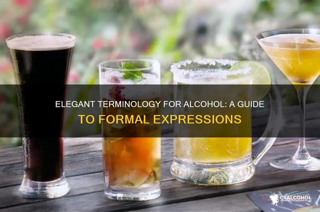 Elegant Terminology For Alcohol: A Guide To Formal Expressions | CyAlcohol