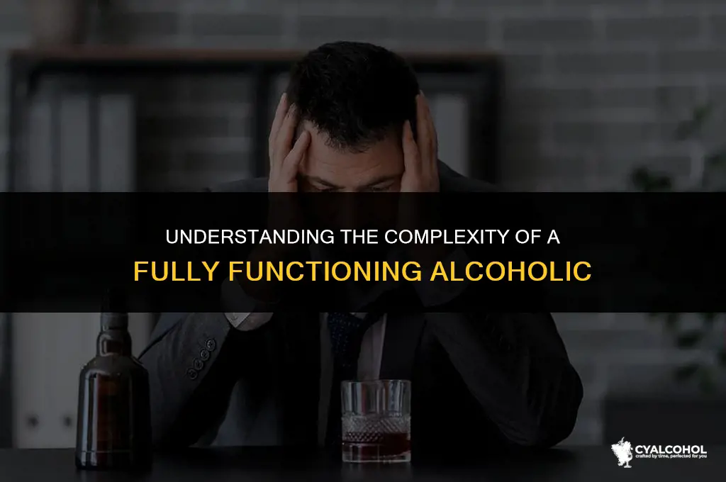 Understanding The Complexity Of A Fully Functioning Alcoholic | CyAlcohol
