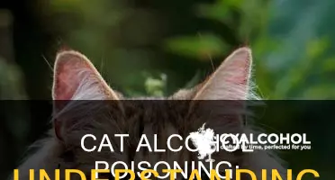 Cat Alcohol Poisoning: Understanding Lethal Doses | CyAlcohol