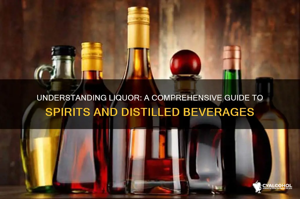 Understanding Liquor: A Comprehensive Guide To Spirits And Distilled ...