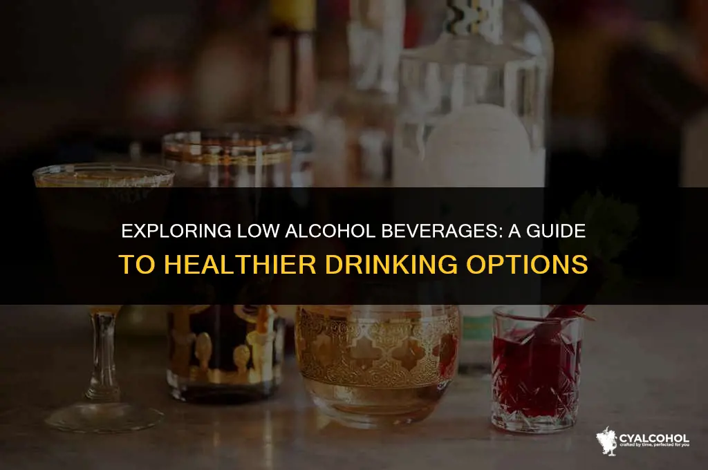 Exploring Low Alcohol Beverages: A Guide To Healthier Drinking Options ...
