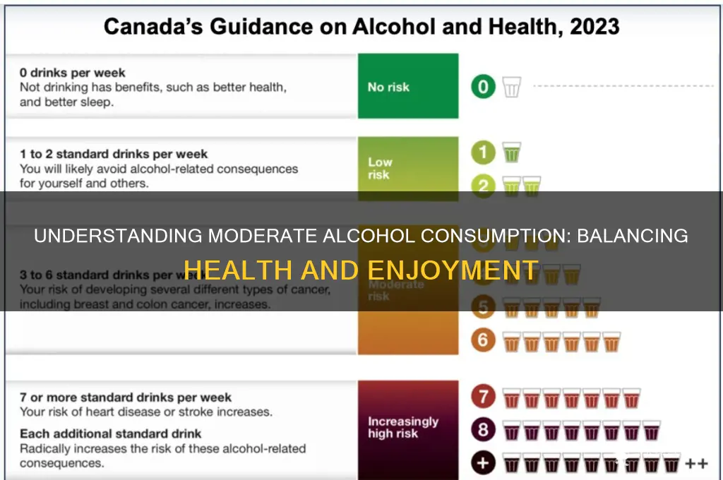 Understanding Moderate Alcohol Consumption: Balancing Health And ...