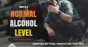 Understanding 40 Ounce Alcohol Bottles: A Comprehensive Guide To Their ...