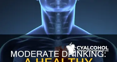 Moderate Drinking: A Healthy Choice? | CyAlcohol