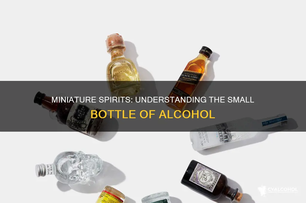 Miniature Spirits: Understanding The Small Bottle Of Alcohol | CyAlcohol