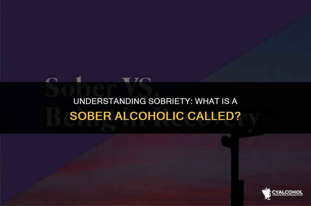 Understanding Sobriety: What Is A Sober Alcoholic Called? | CyAlcohol