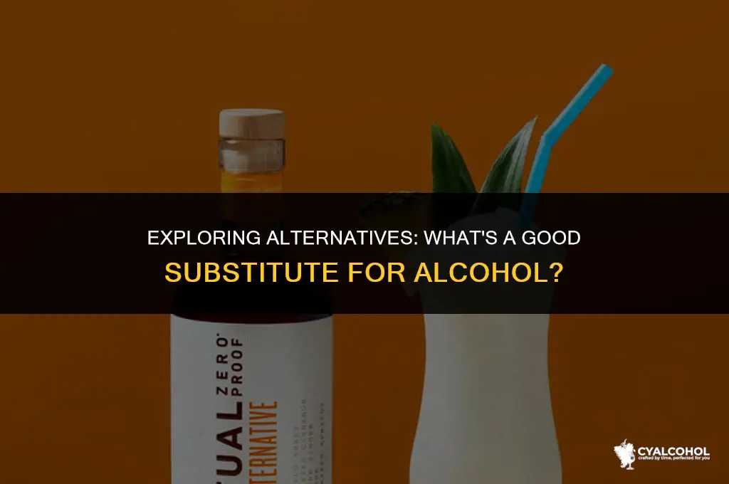 Exploring Alternatives: What's A Good Substitute For Alcohol? | CyAlcohol
