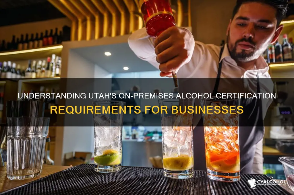 Understanding Utah's On-Premises Alcohol Certification Requirements For ...