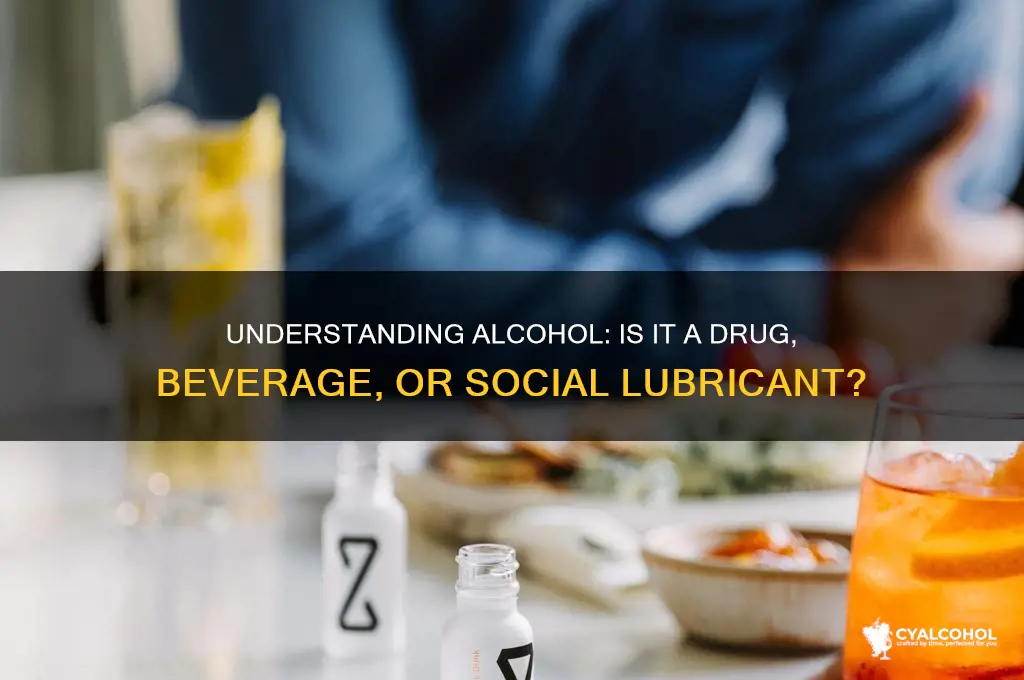 Understanding Alcohol: Is It A Drug, Beverage, Or Social Lubricant ...