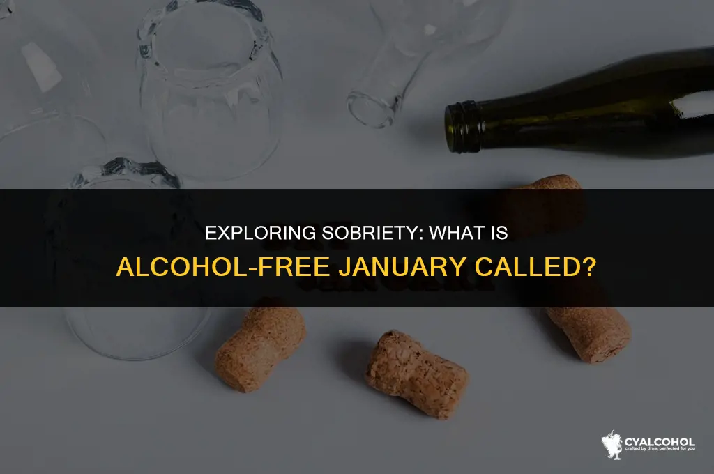 Exploring Sobriety: What Is Alcohol-Free January Called? | CyAlcohol