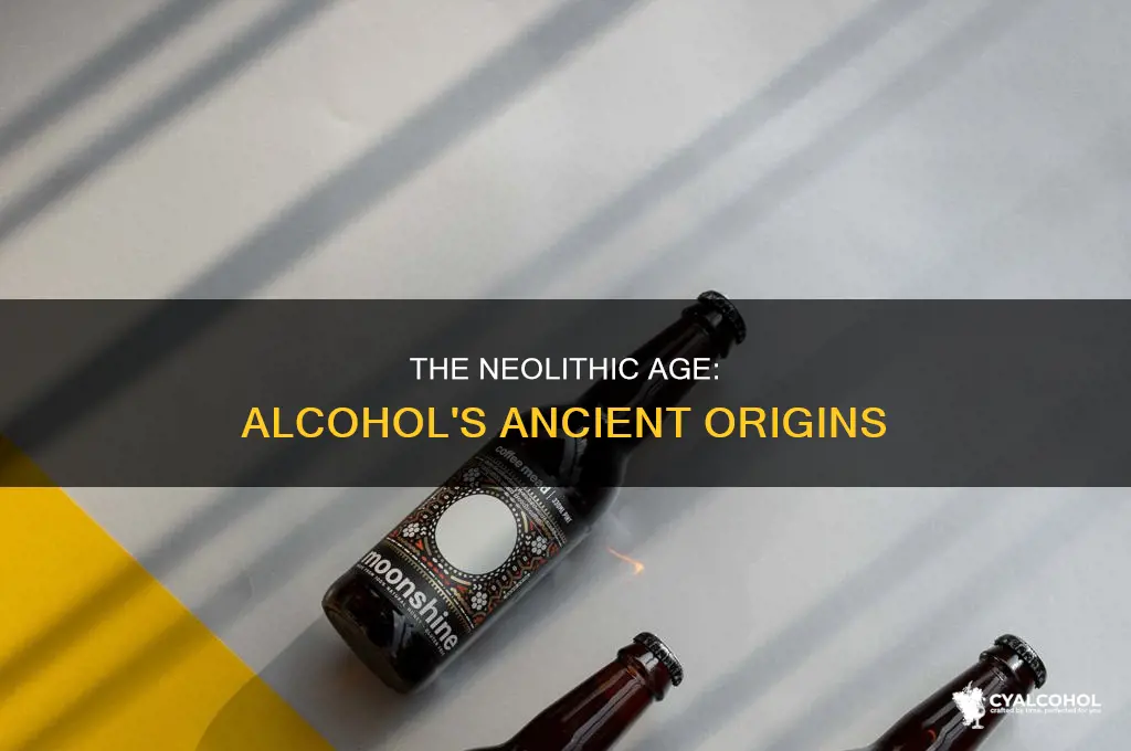 The Neolithic Age: Alcohol's Ancient Origins | CyAlcohol