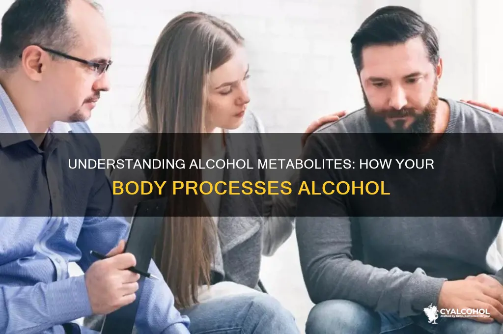 Understanding Alcohol Metabolites: How Your Body Processes Alcohol ...