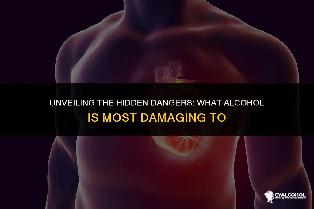 Unveiling The Hidden Dangers: What Alcohol Is Most Damaging To | CyAlcohol