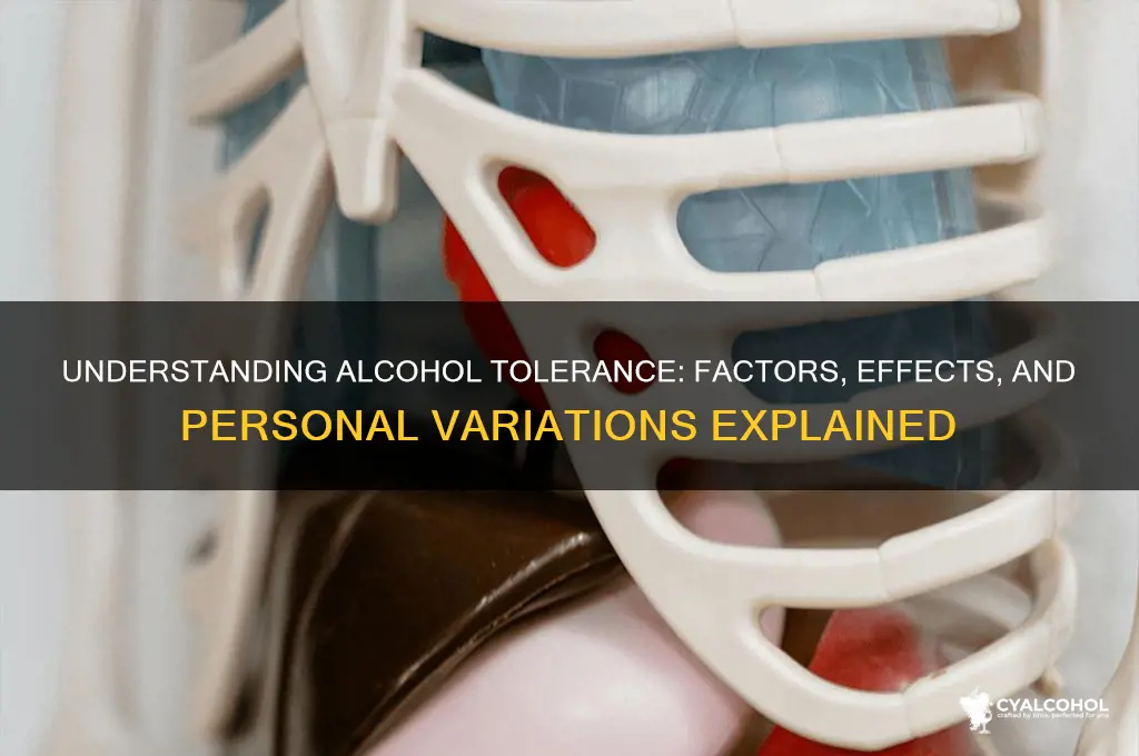 Understanding Alcohol Tolerance: Factors, Effects, And Personal ...
