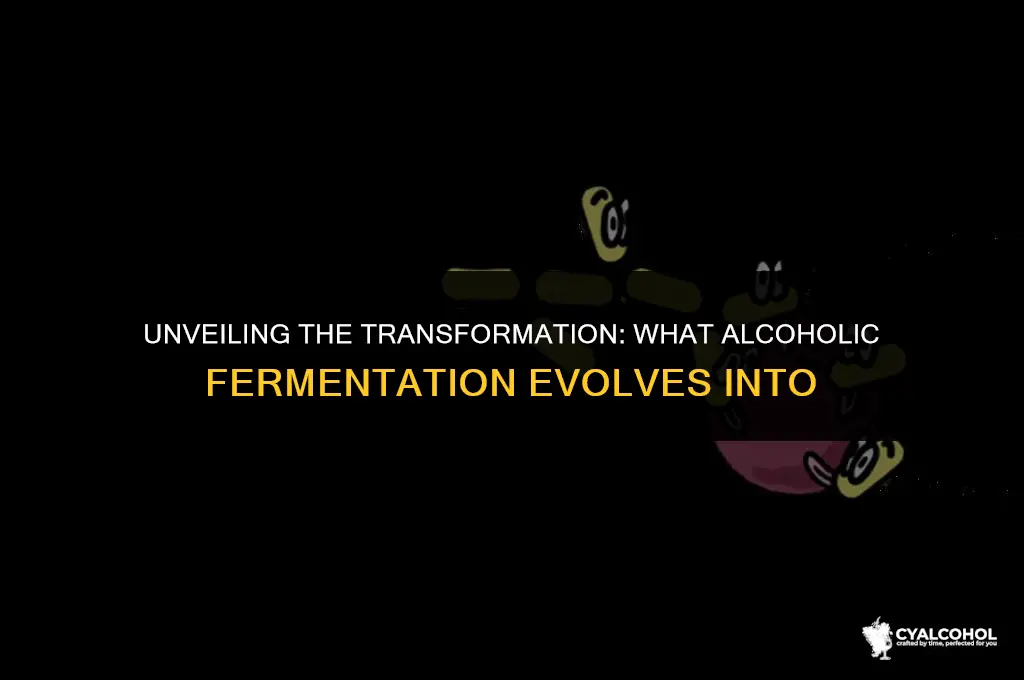 Unveiling The Transformation: What Alcoholic Fermentation Evolves Into ...