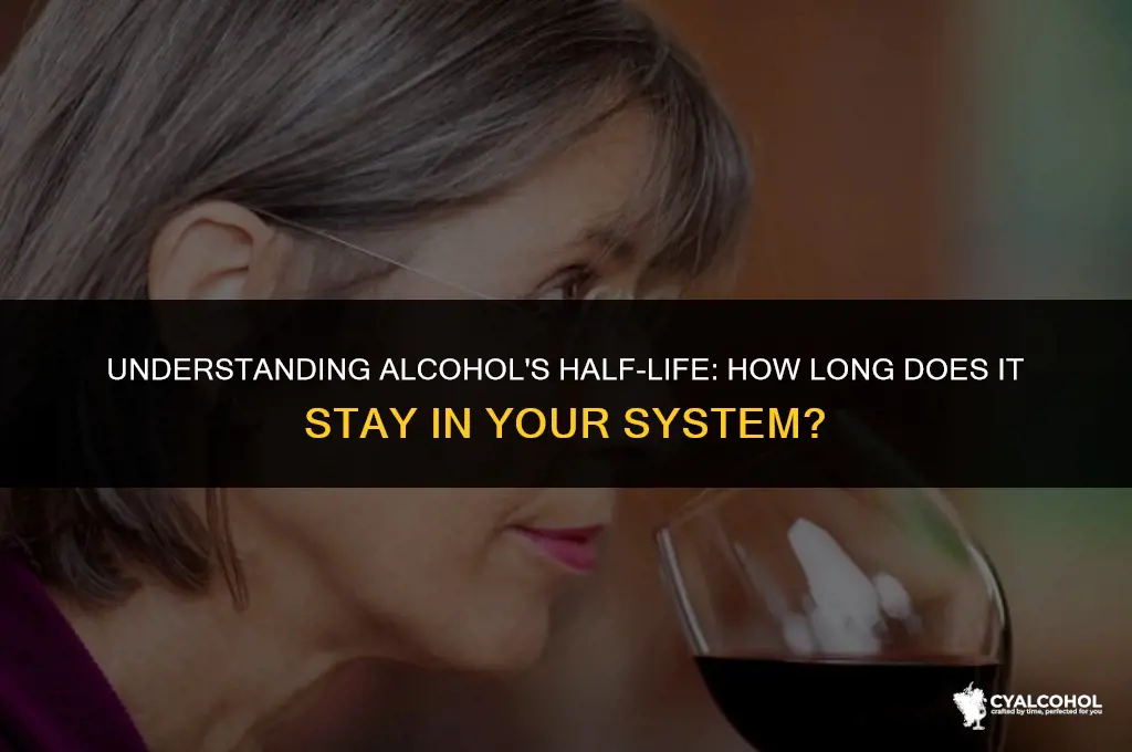 Understanding Alcohol's Half-Life: How Long Does It Stay In Your System ...