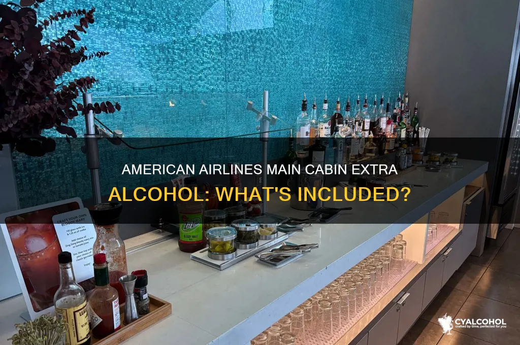 American Airlines Main Cabin Extra Alcohol: What's Included? | CyAlcohol
