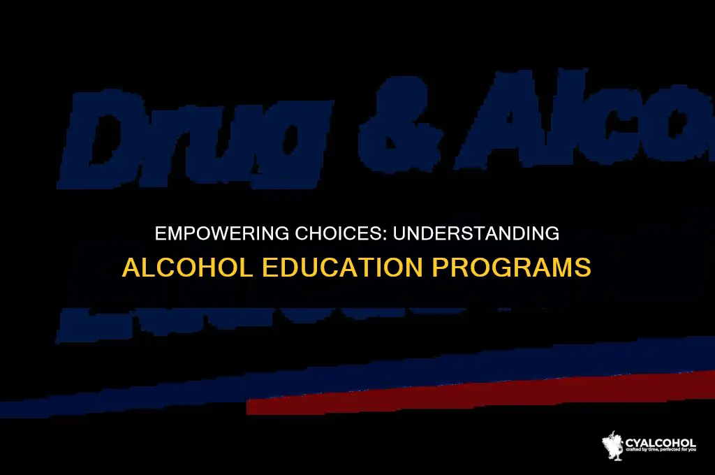 Empowering Choices: Understanding Alcohol Education Programs | CyAlcohol