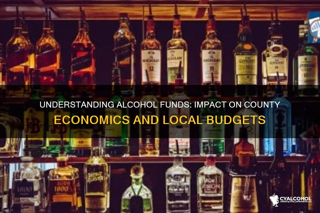 Understanding Alcohol Funds: Impact On County Economics And Local ...