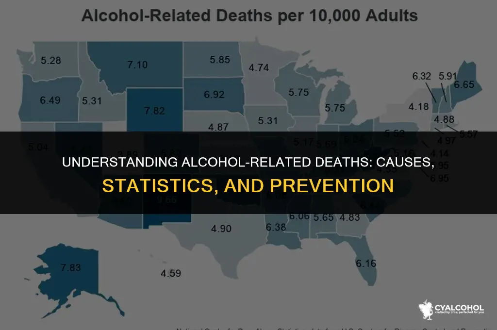 Understanding Alcohol-Related Deaths: Causes, Statistics, And ...