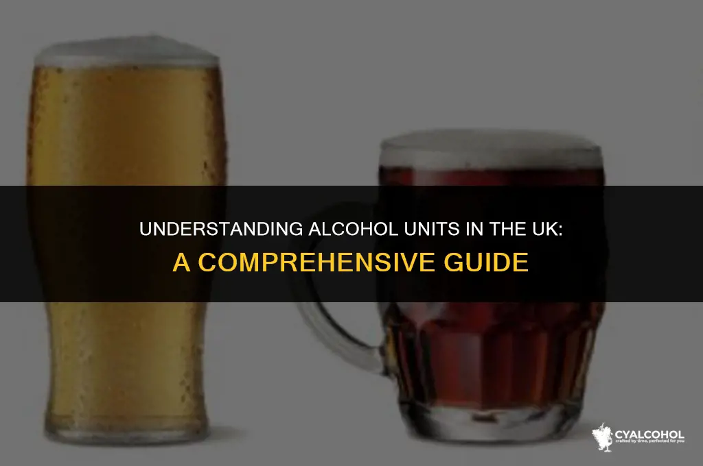 Understanding Alcohol Units In The Uk: A Comprehensive Guide | CyAlcohol