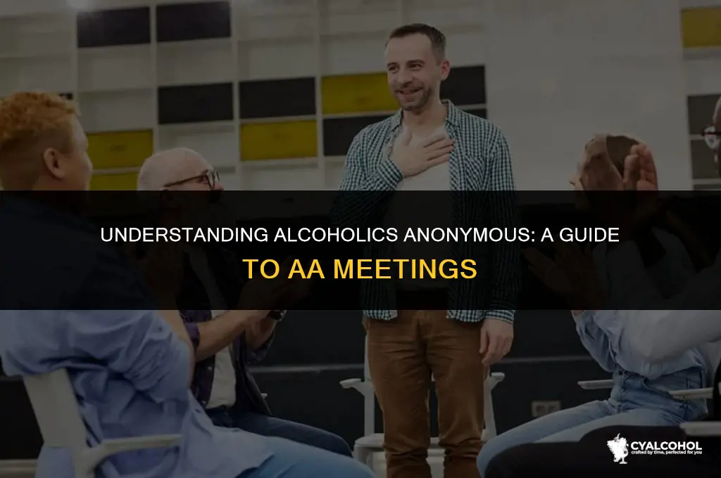 Understanding Alcoholics Anonymous: A Guide To Aa Meetings | CyAlcohol