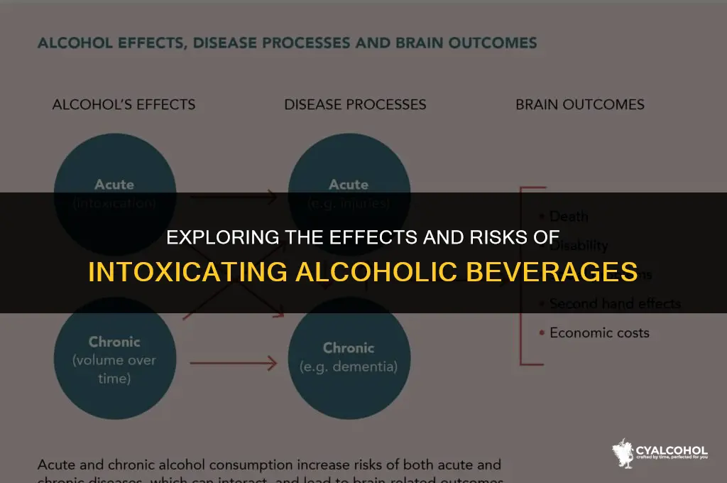 Exploring The Effects And Risks Of Intoxicating Alcoholic Beverages ...