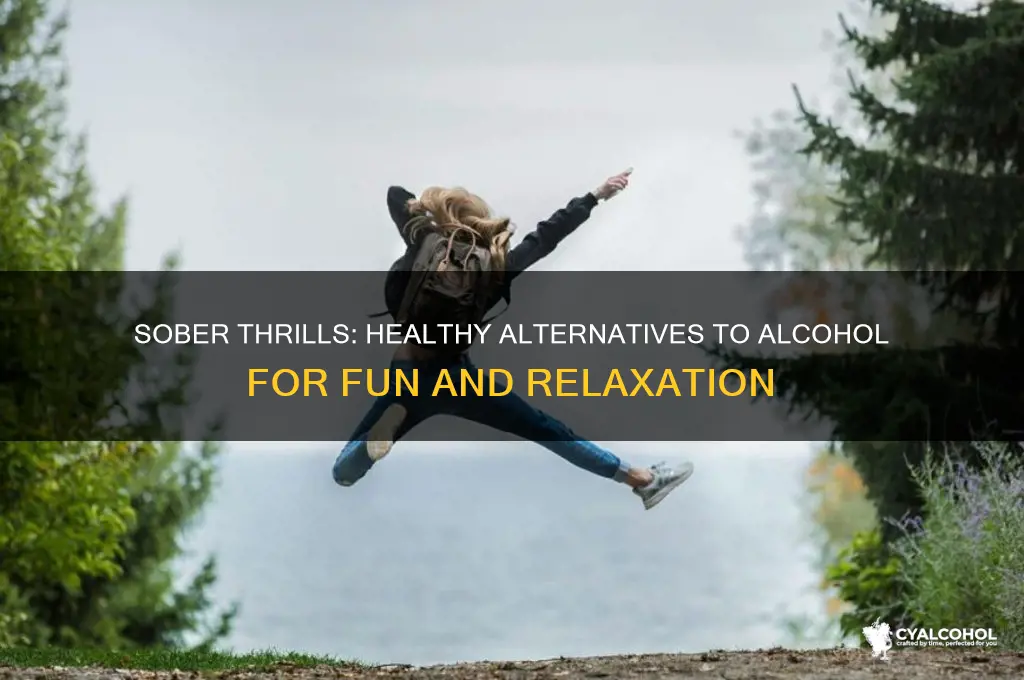 Sober Thrills: Healthy Alternatives To Alcohol For Fun And Relaxation ...