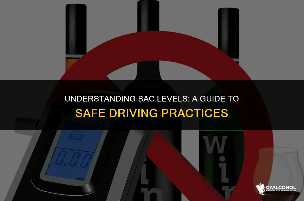 Understanding Bac Levels: A Guide To Safe Driving Practices | CyAlcohol