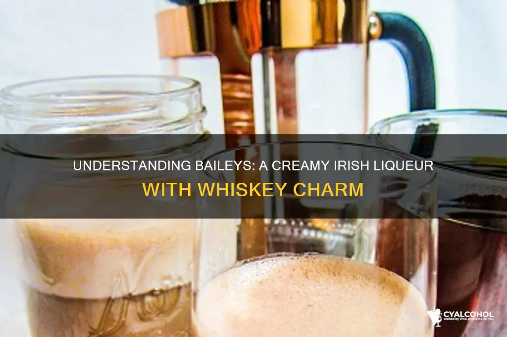 Understanding Baileys: A Creamy Irish Liqueur With Whiskey Charm ...