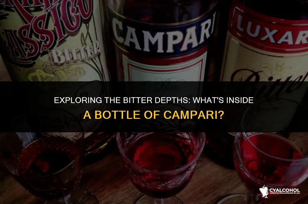 Exploring The Bitter Depths: What's Inside A Bottle Of Campari? | CyAlcohol