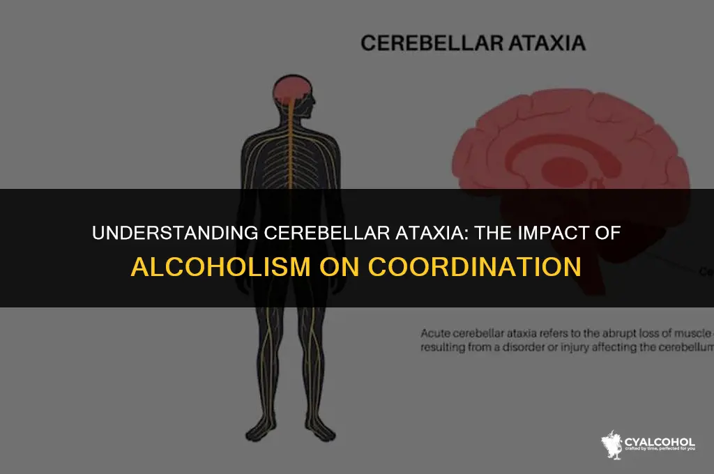 Understanding Cerebellar Ataxia: The Impact Of Alcoholism On ...
