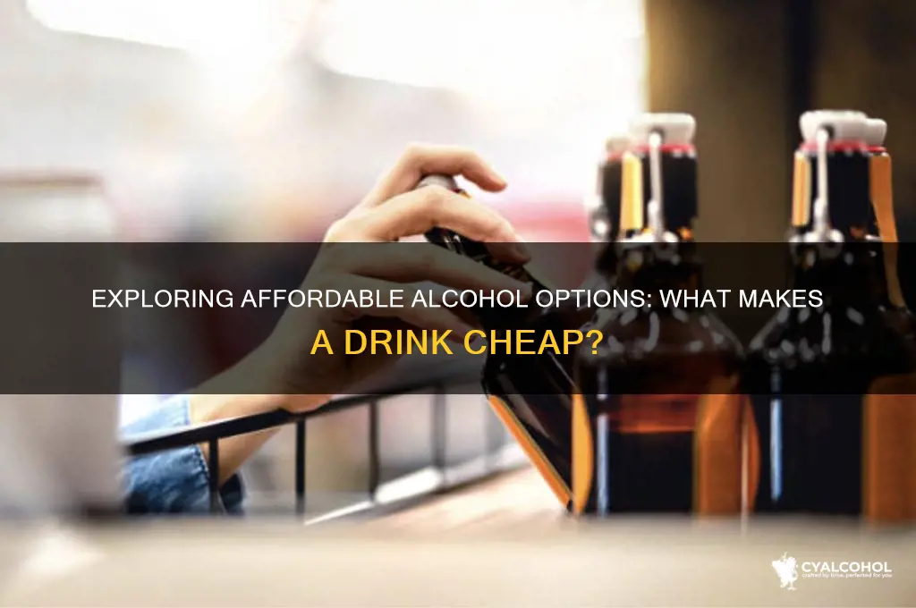 Exploring Affordable Alcohol Options: What Makes A Drink Cheap? | CyAlcohol