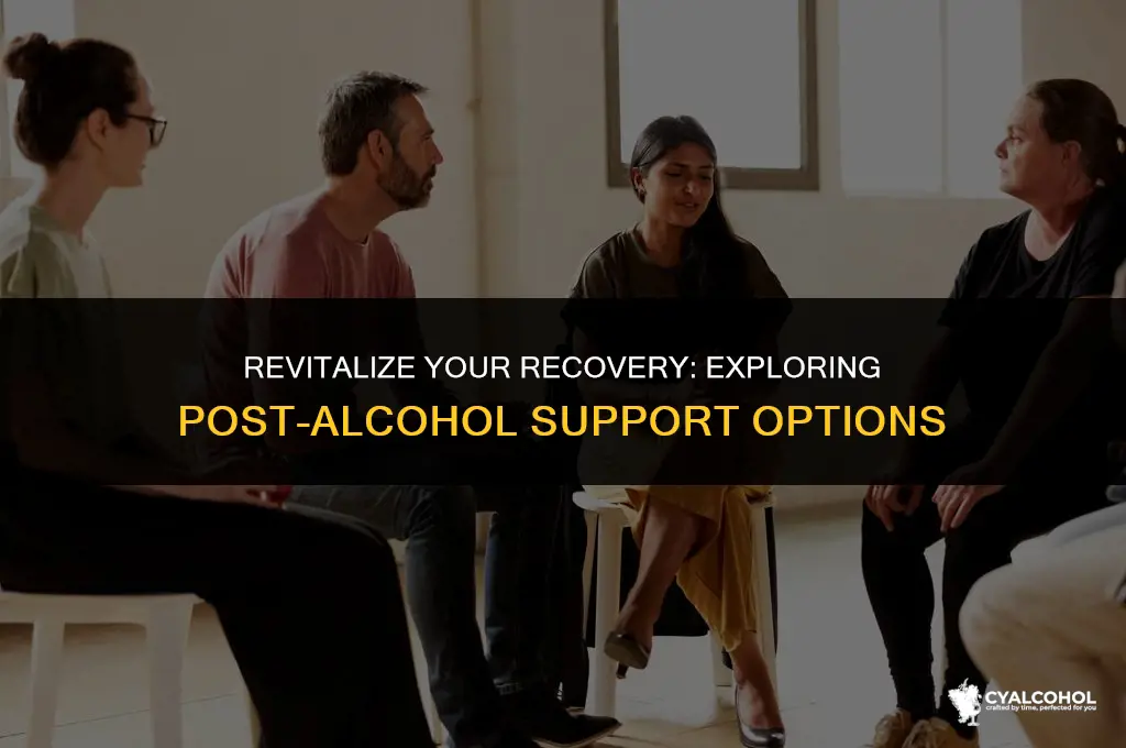 Revitalize Your Recovery: Exploring Post-Alcohol Support Options ...