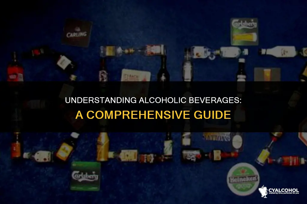 Understanding Alcoholic Beverages: A Comprehensive Guide | CyAlcohol