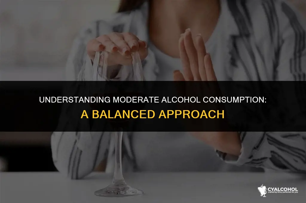 Understanding Moderate Alcohol Consumption: A Balanced Approach | CyAlcohol