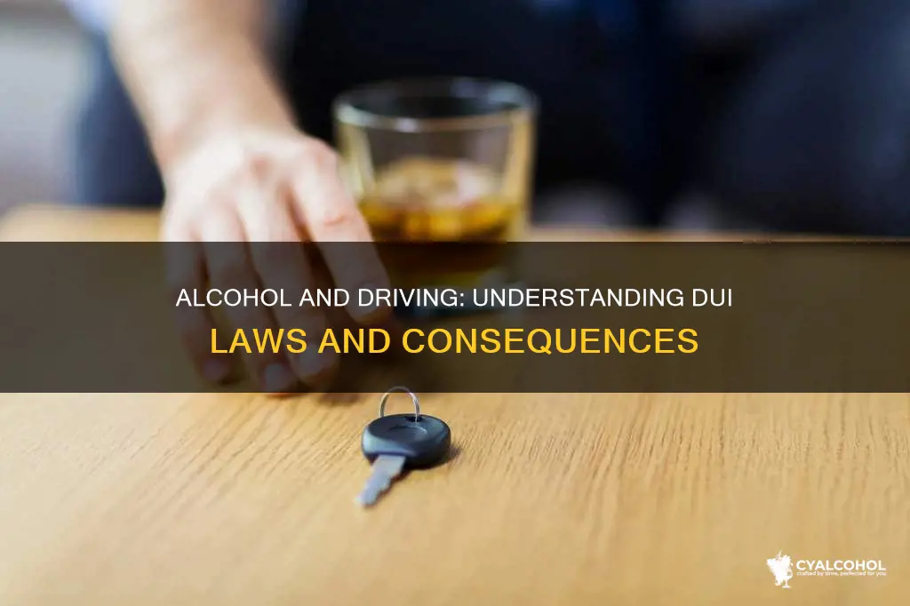 Alcohol And Driving: Understanding Dui Laws And Consequences | CyAlcohol
