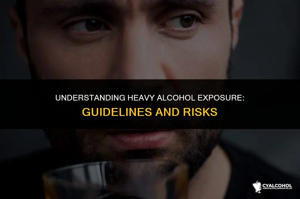 Understanding Heavy Alcohol Exposure: Guidelines And Risks | CyAlcohol