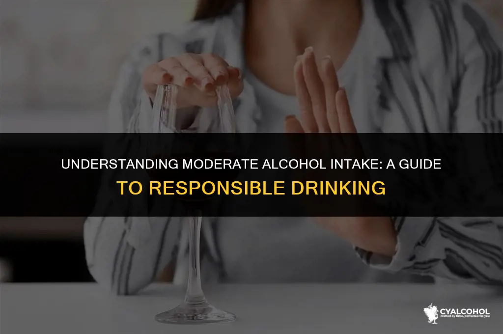 Understanding Moderate Alcohol Intake: A Guide To Responsible Drinking ...