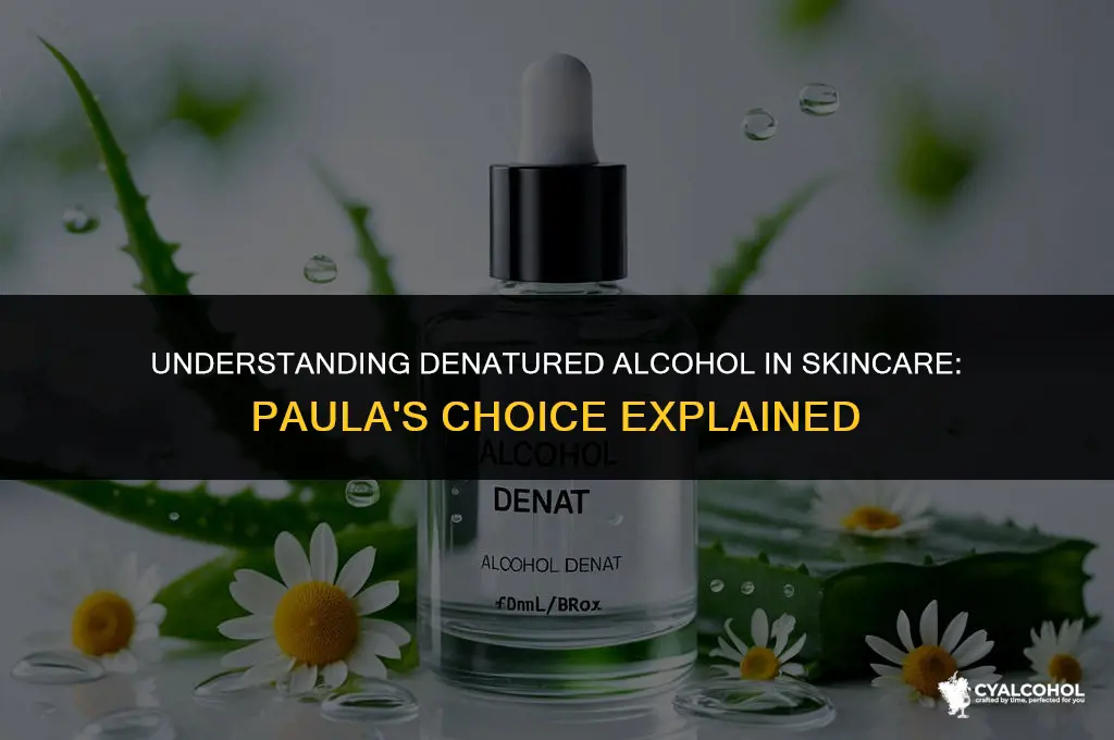 Understanding Denatured Alcohol In Skincare: Paula's Choice Explained ...