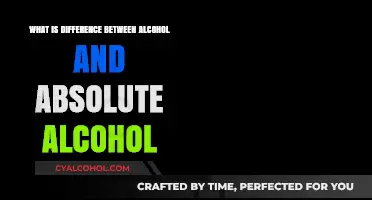 Alcohol Vs. Denatured Alcohol: Key Differences Explained Simply | CyAlcohol