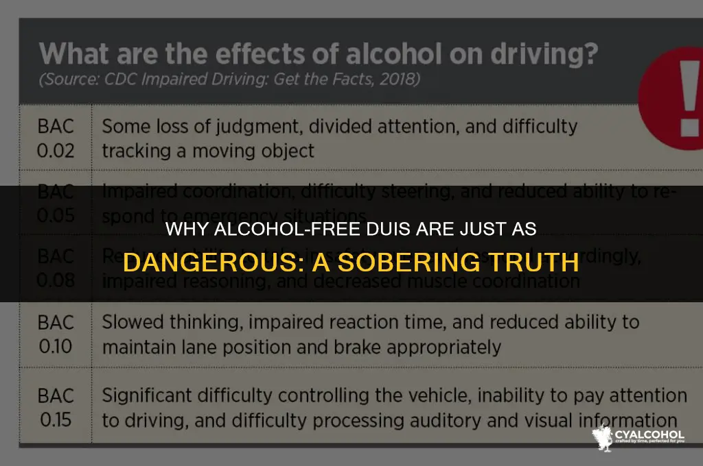 Why Alcohol-Free Duis Are Just As Dangerous: A Sobering Truth | CyAlcohol