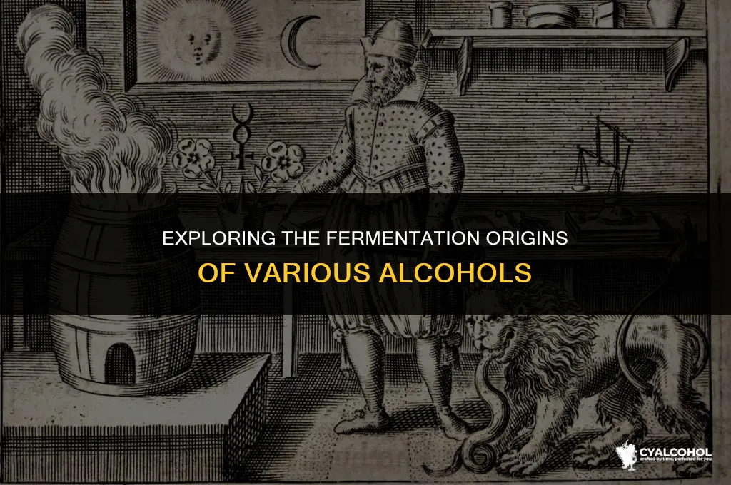 Exploring The Fermentation Origins Of Various Alcohols | CyAlcohol